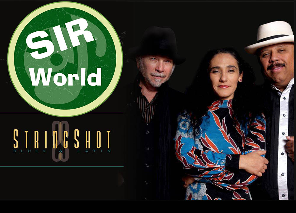 StringShot Review - Sound In Review